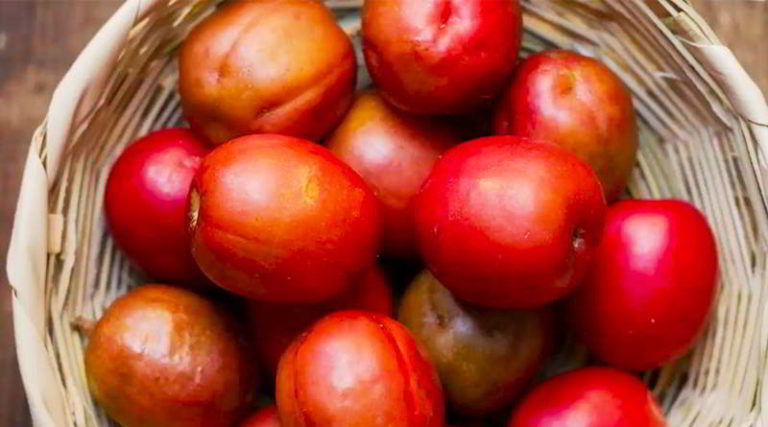 El hobo, ovo o jocote la fruta exótica de grandes propiedades